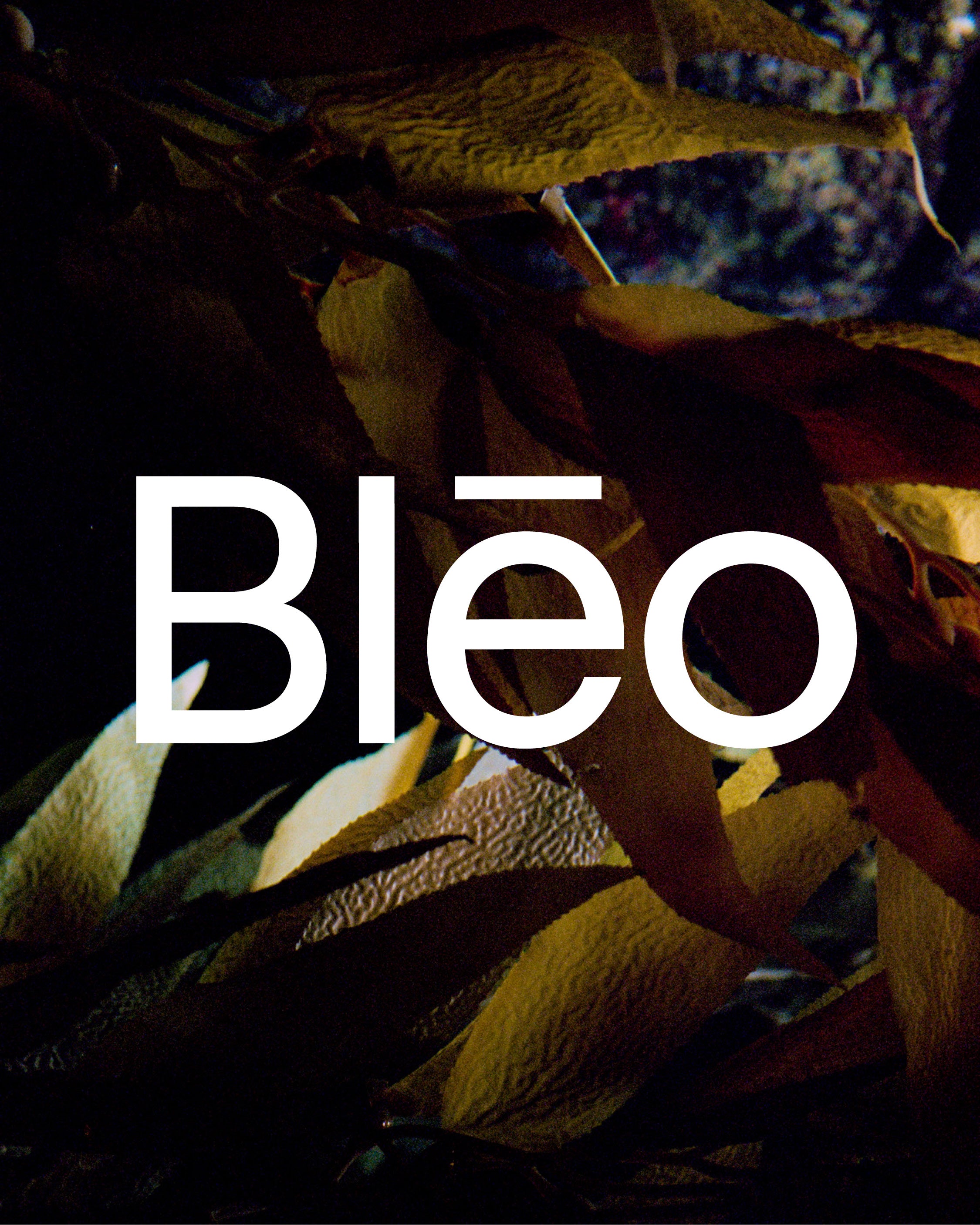 Everywhere is Colour – Blēo
