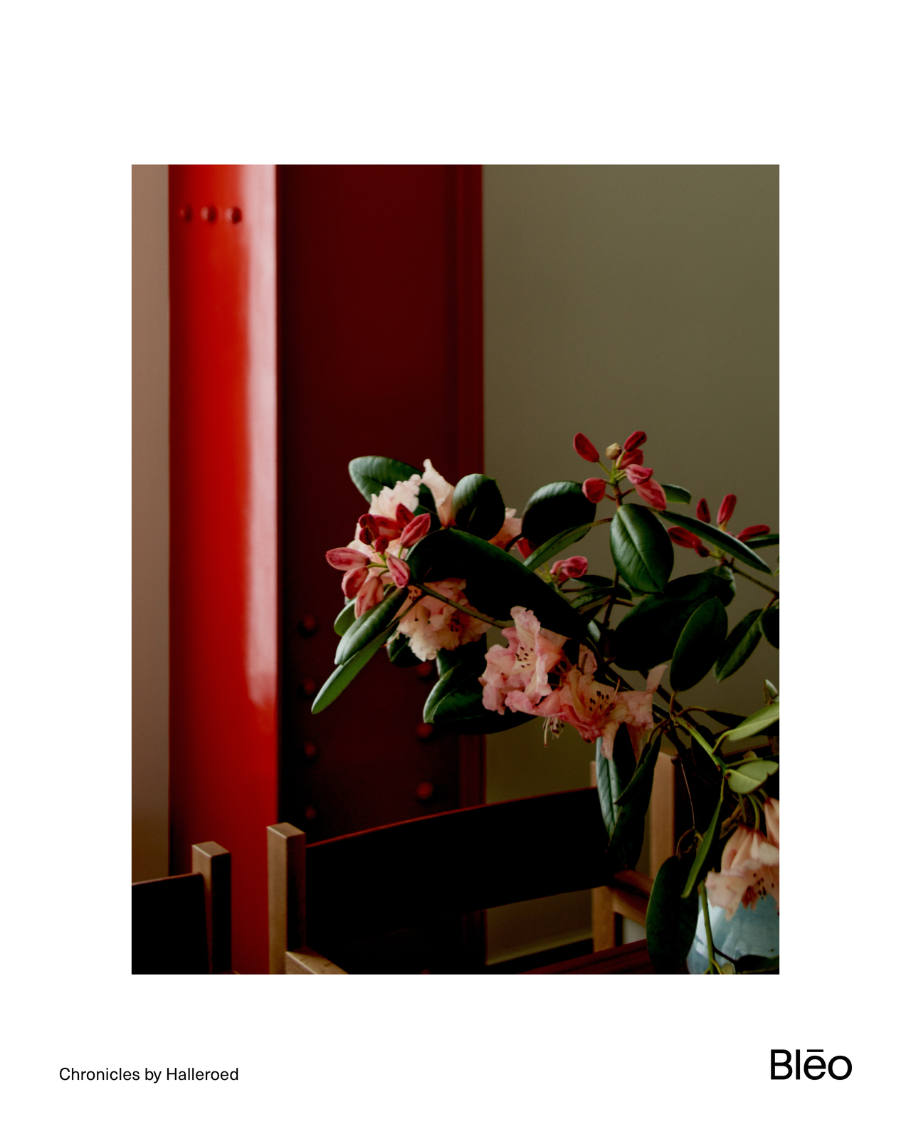 Halleroed - a paint palette developed for Blēo