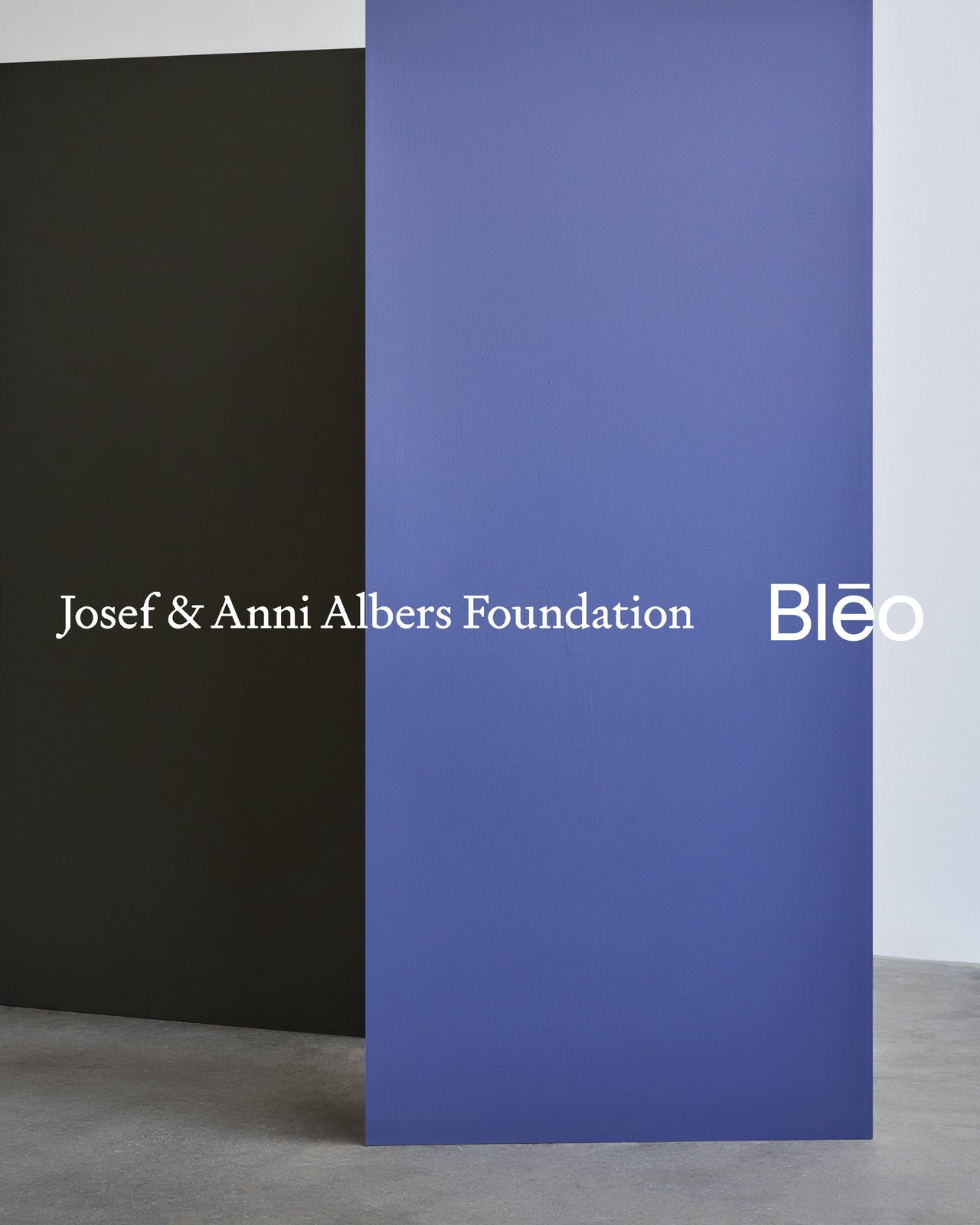 Blēo is a colour house that goes beyond the boundaries of paint