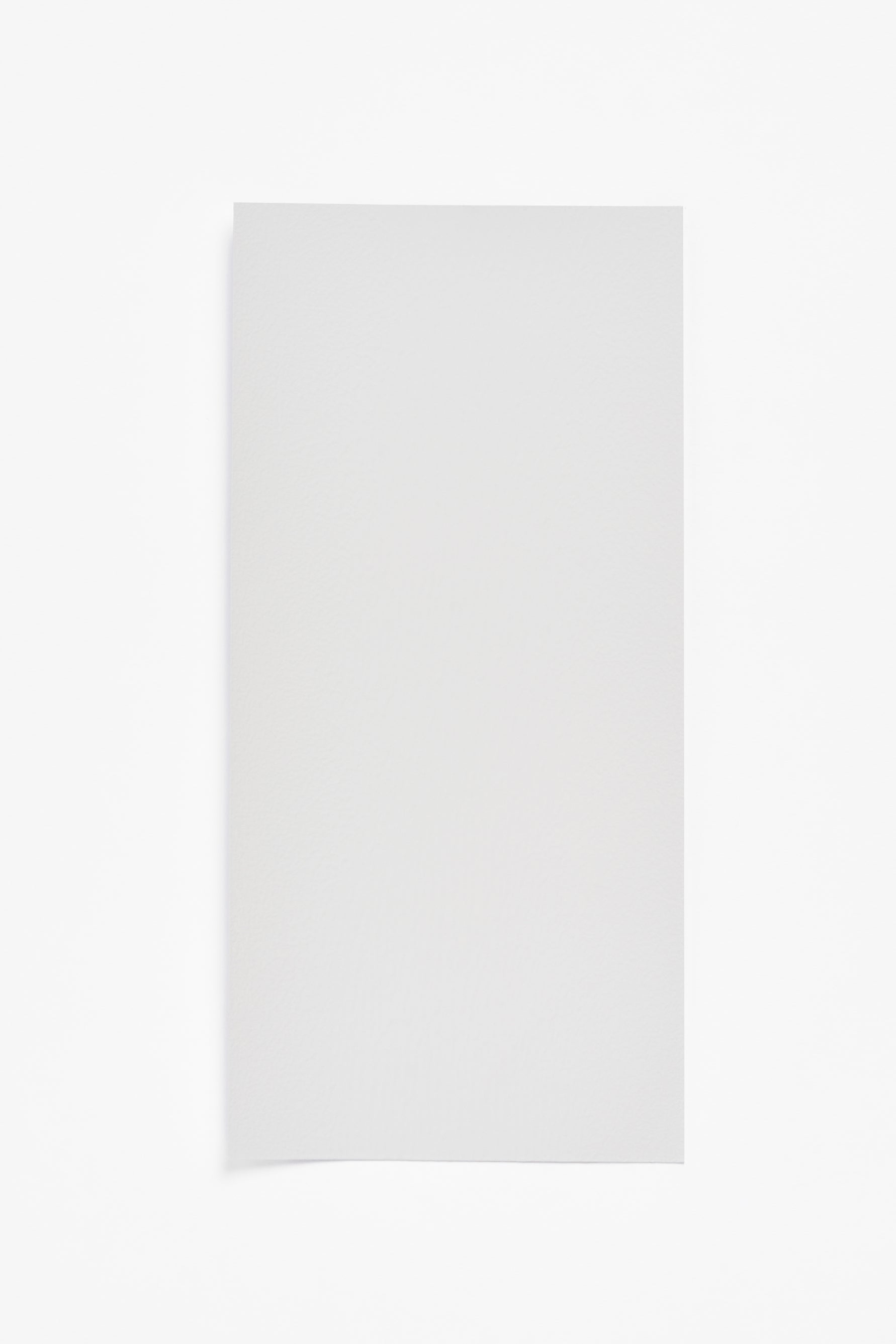 David Thulstrup - a paint palette developed for Blēo