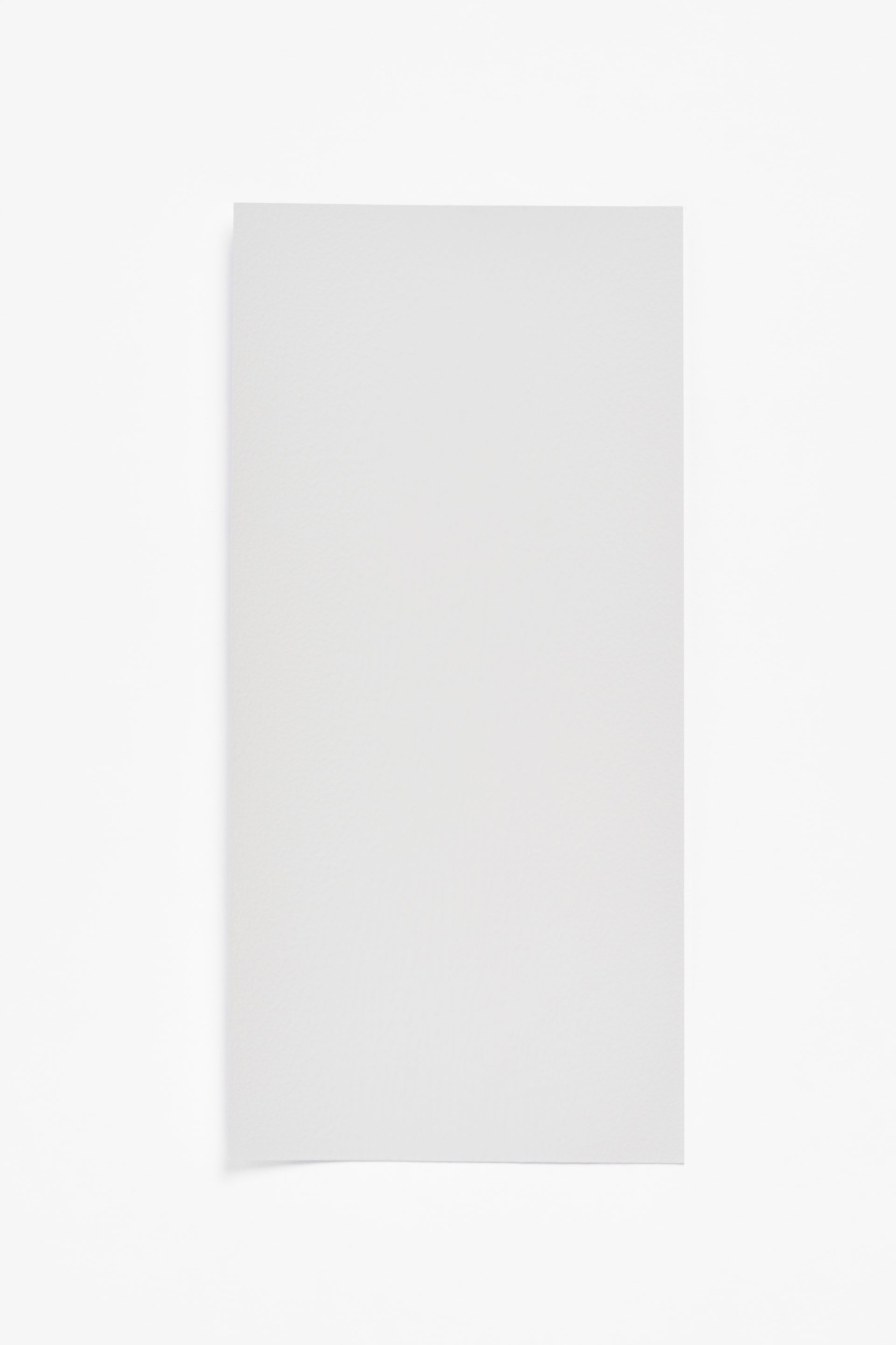 David Thulstrup - a paint palette developed for Blēo