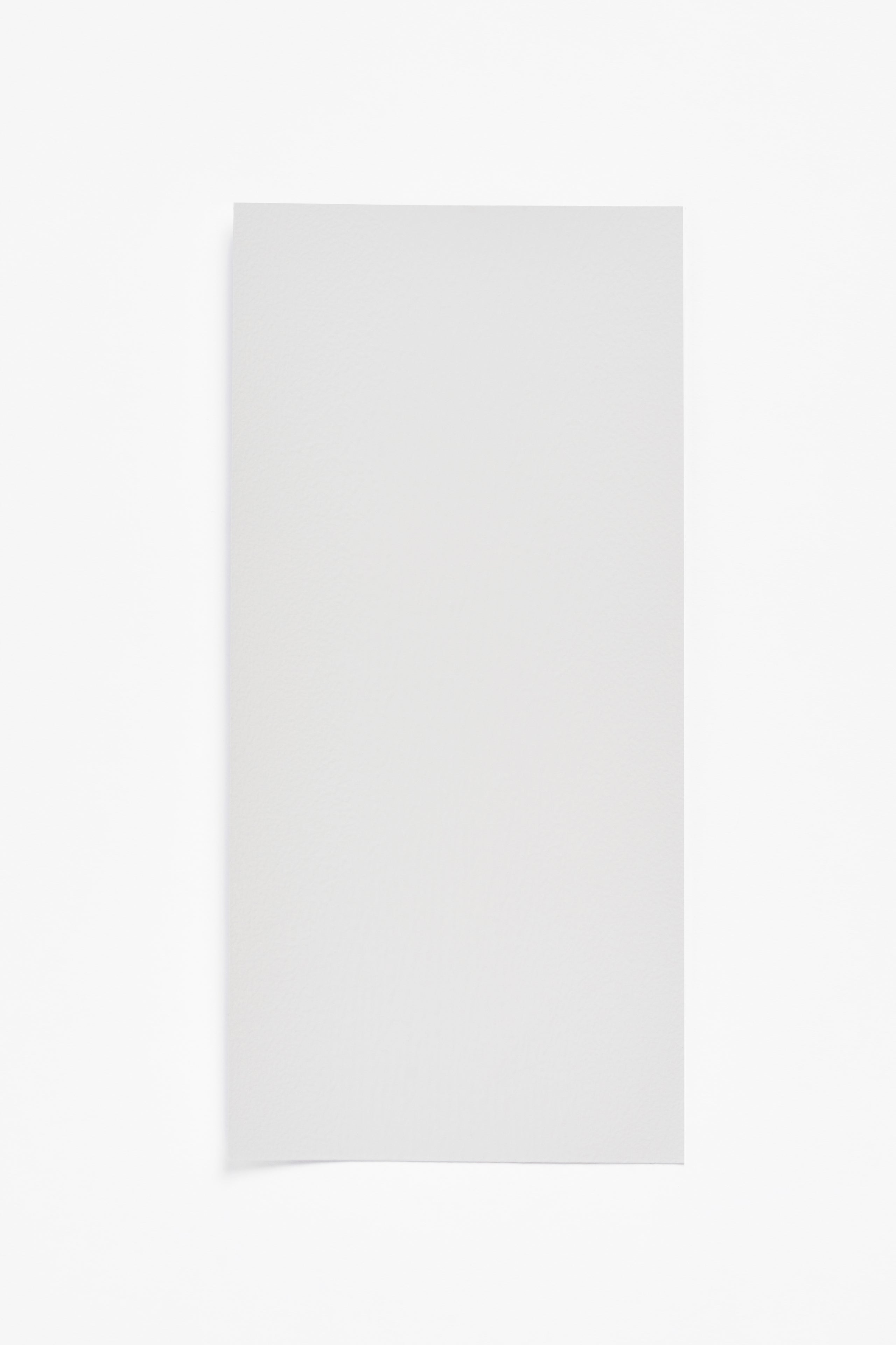 David Thulstrup - a paint palette developed for Blēo