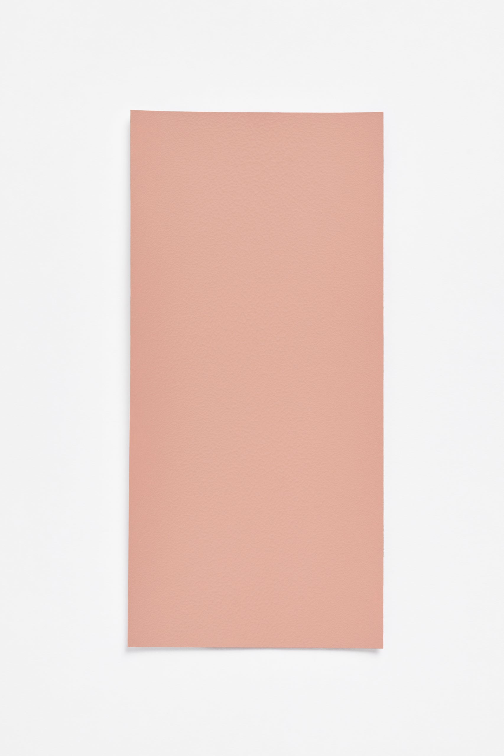 Tomate Bio — a paint colour developed by Inga Sempé for Blēo