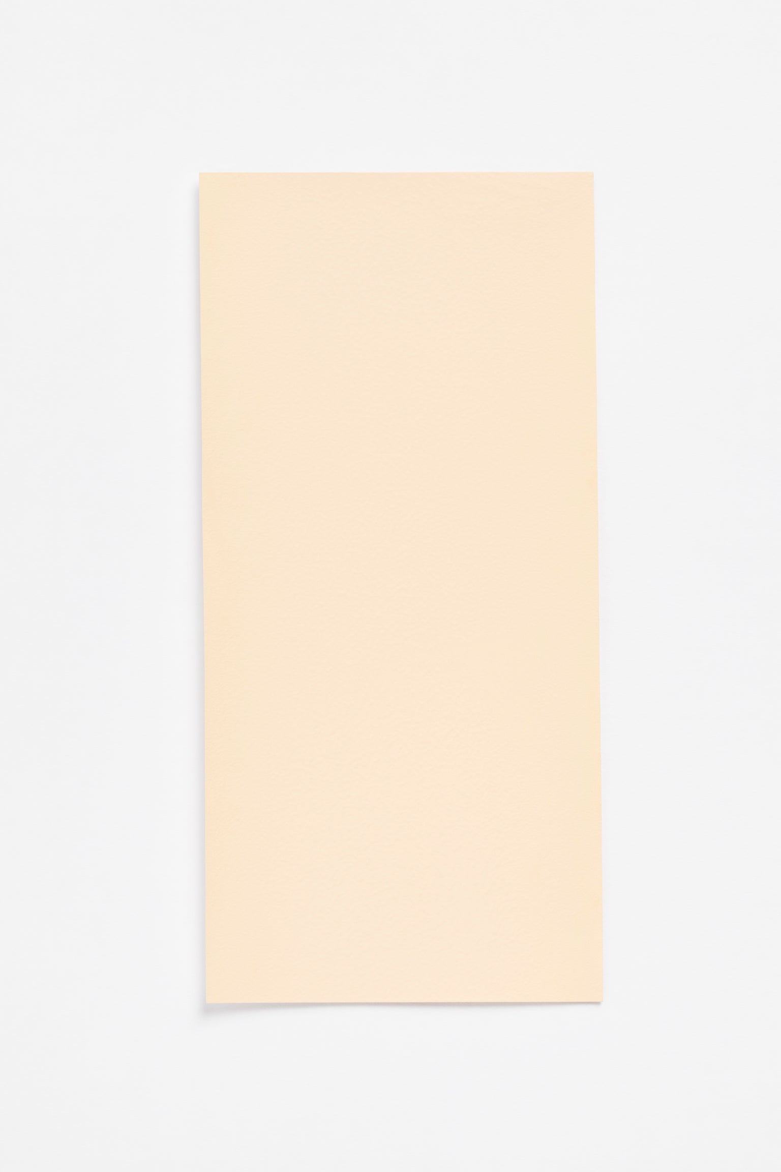 Tomate Bio — a paint colour developed by Inga Sempé for Blēo