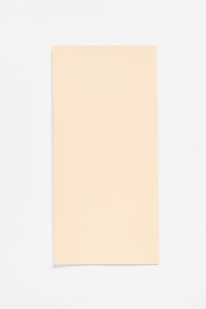 Tomate Bio — a paint colour developed by Inga Sempé for Blēo
