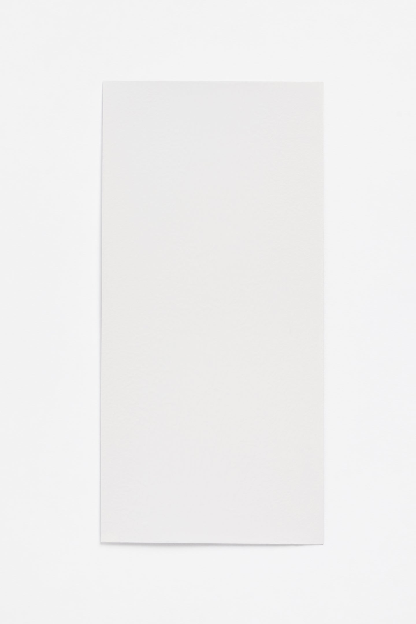 Sabine Marcelis - a paint palette developed for Blēo