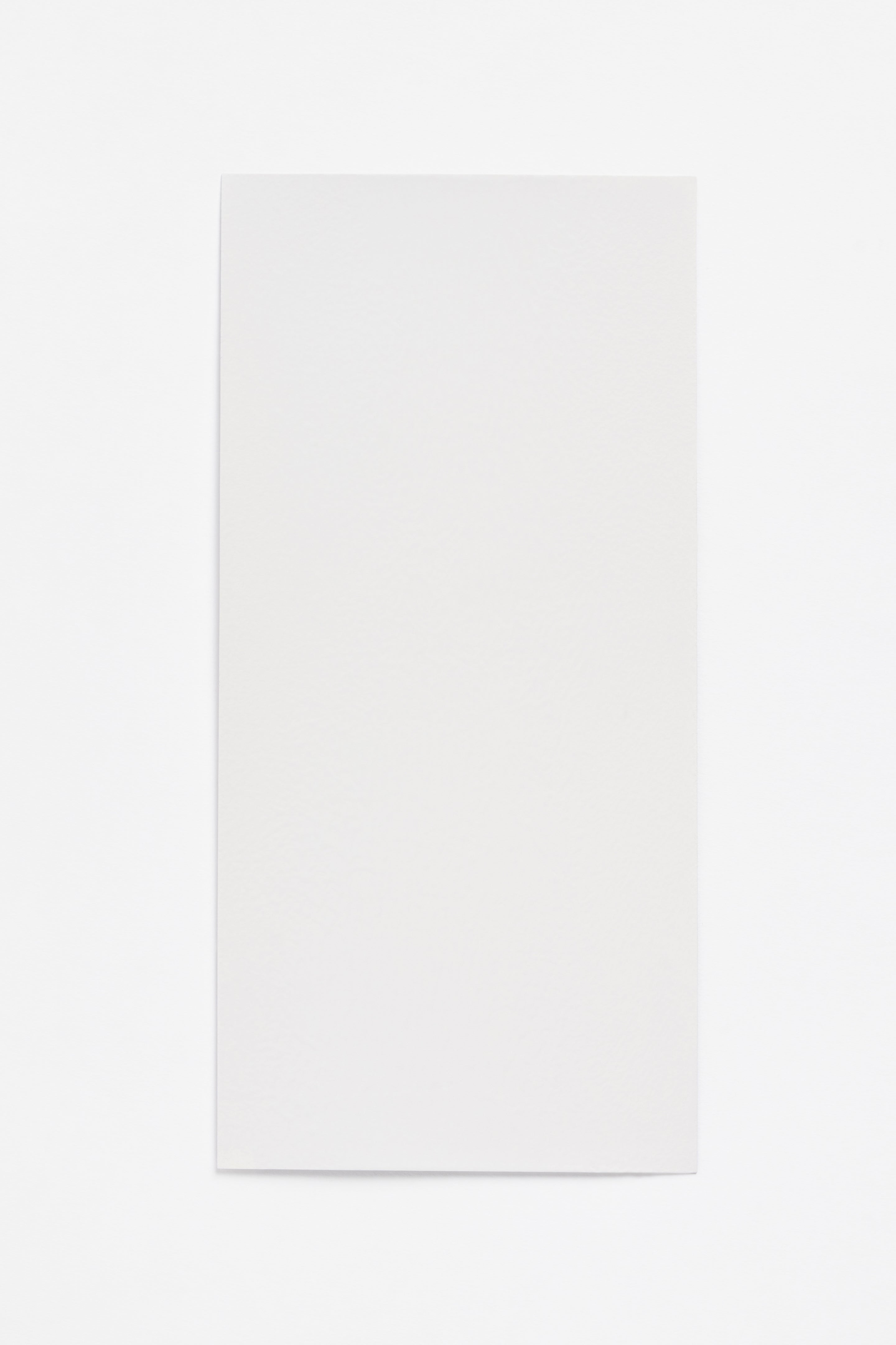 Sabine Marcelis - a paint palette developed for Blēo