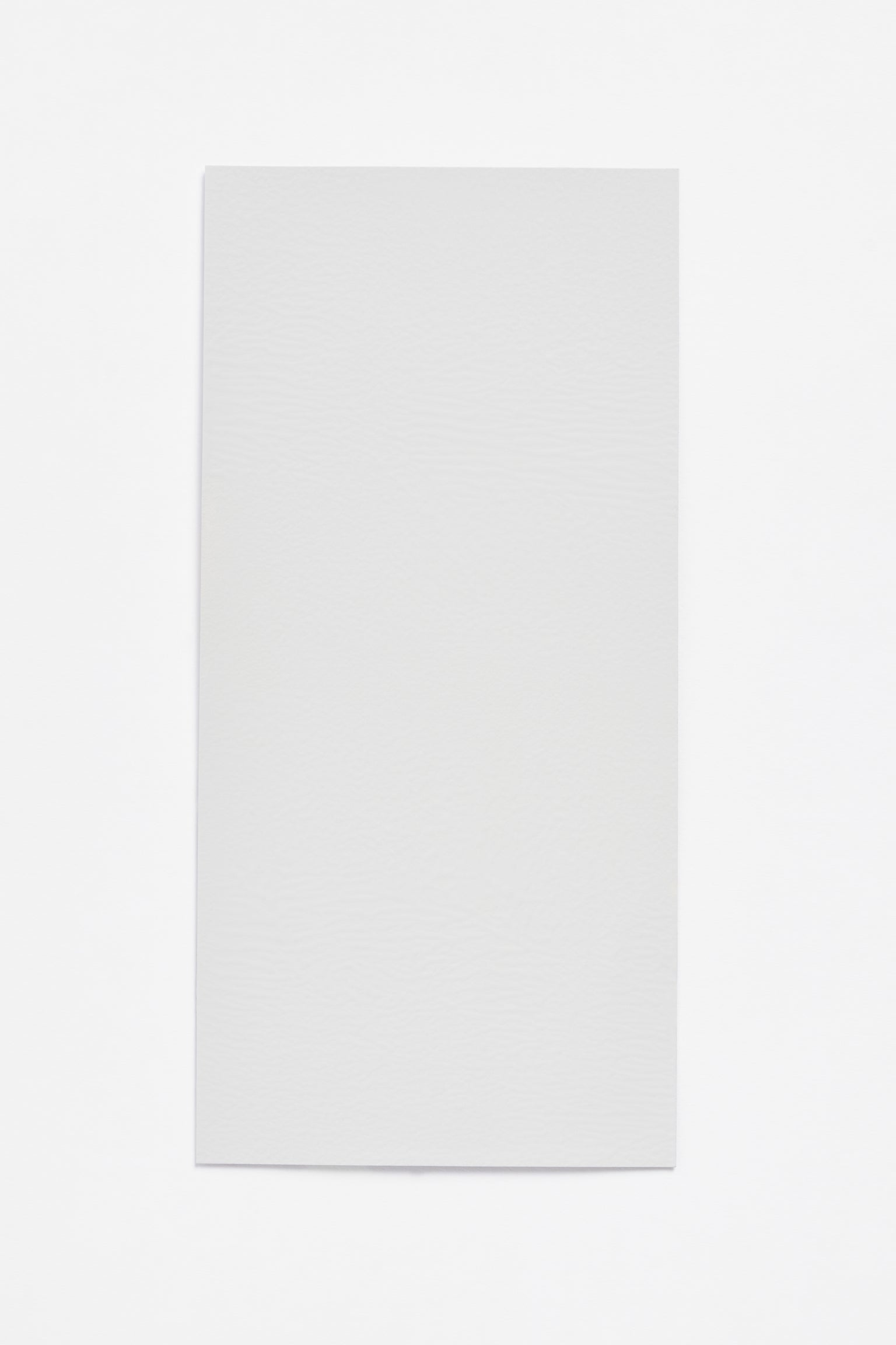 Sabine Marcelis - a paint palette developed for Blēo