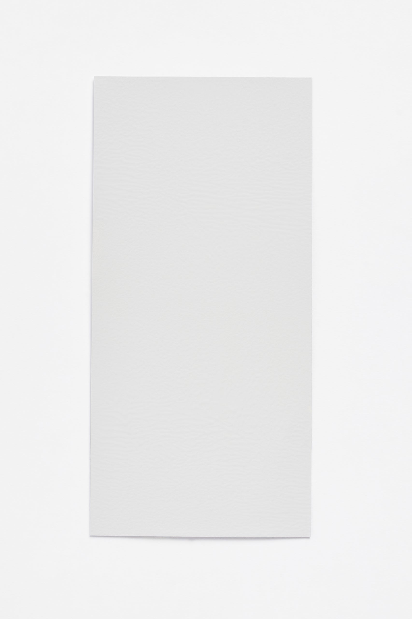 Sabine Marcelis - a paint palette developed for Blēo