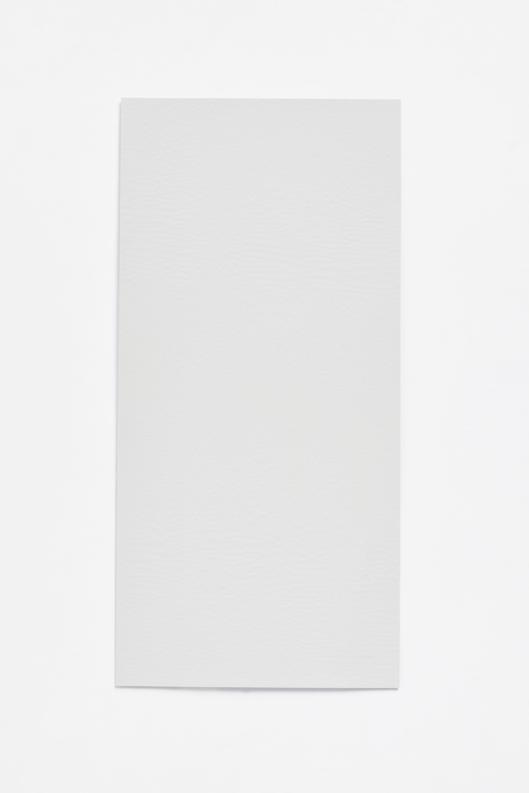 Sabine Marcelis - a paint palette developed for Blēo