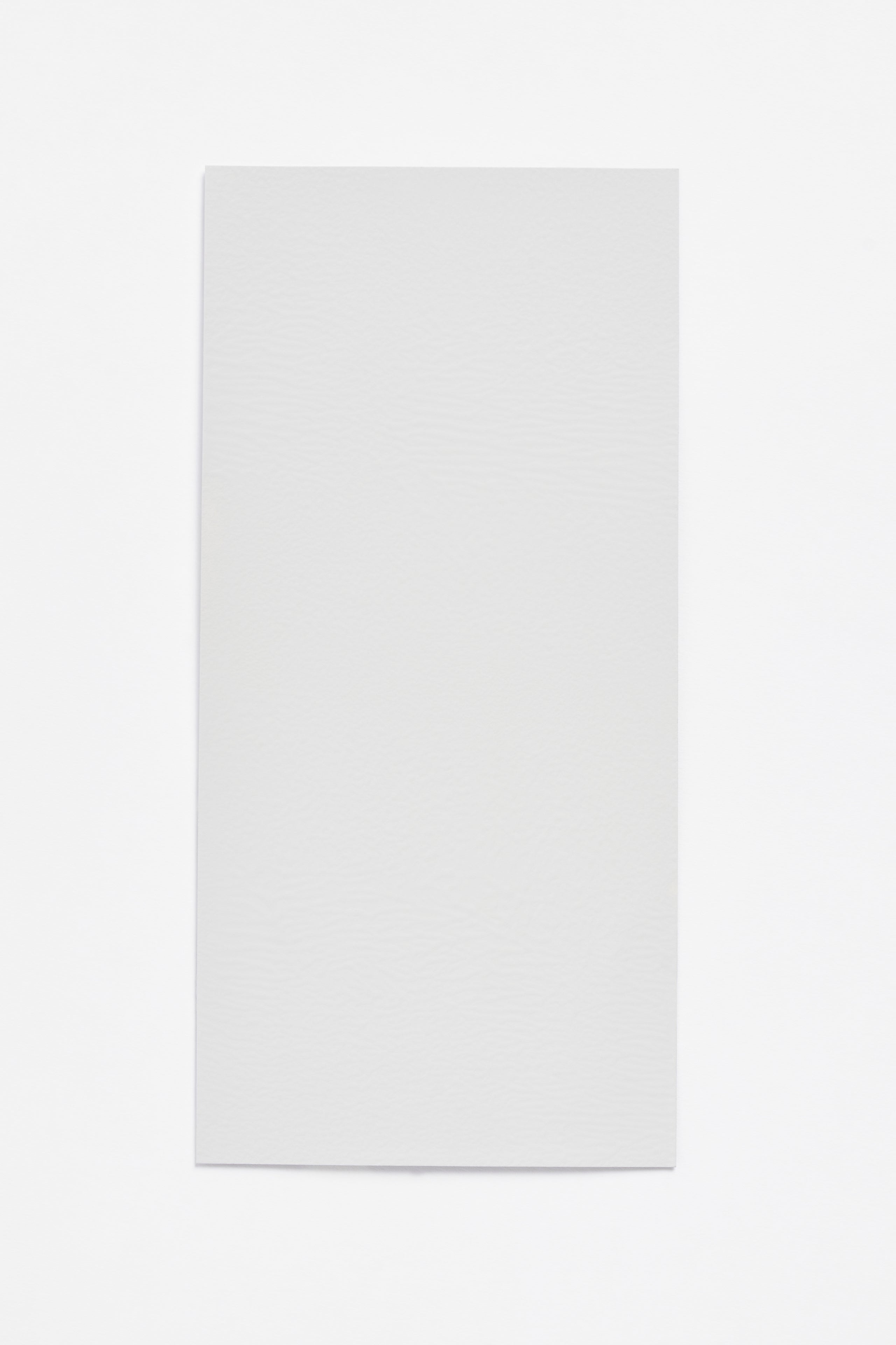 Sabine Marcelis - a paint palette developed for Blēo