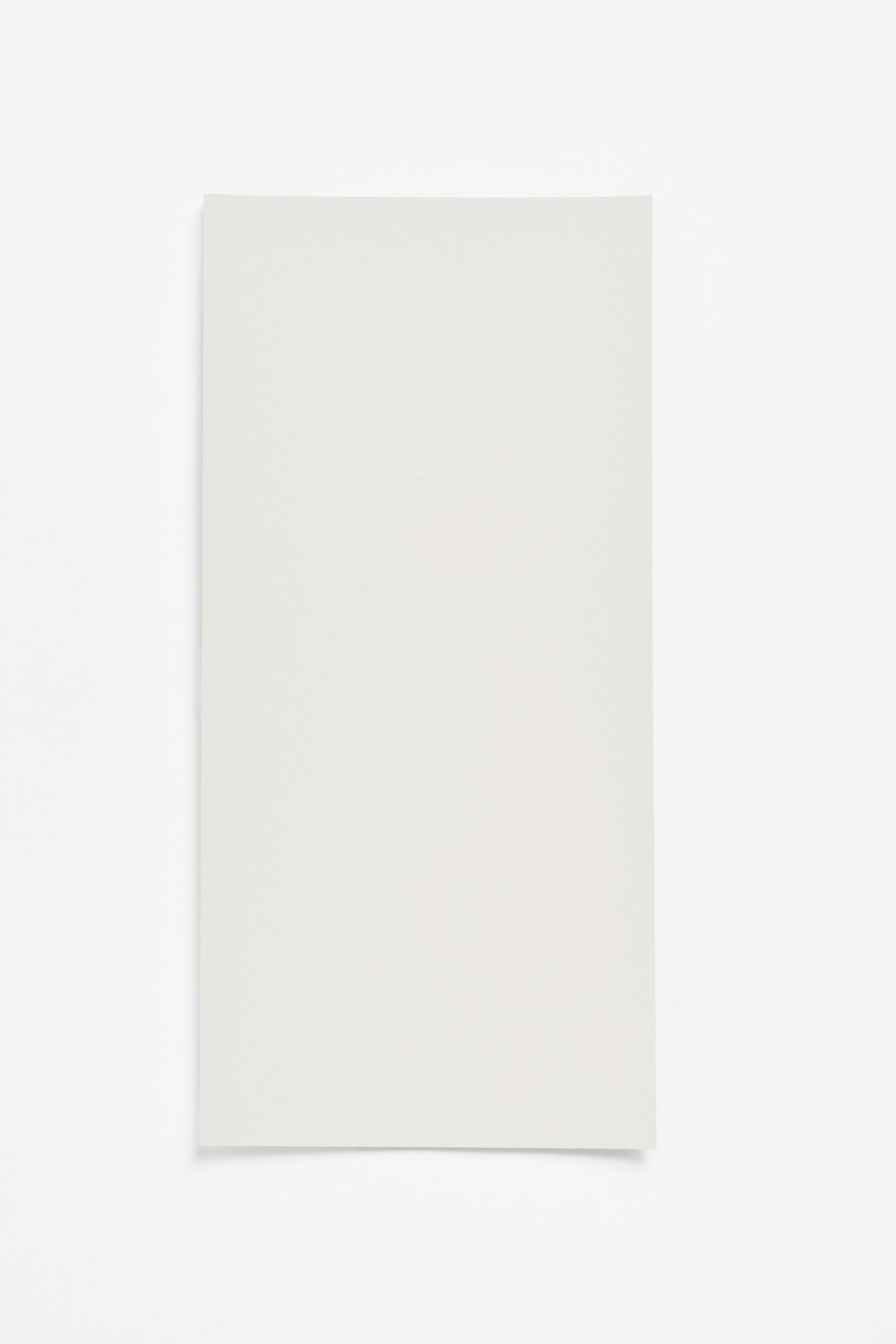Studio Andrew Trotter - a paint palette developed for Blēo