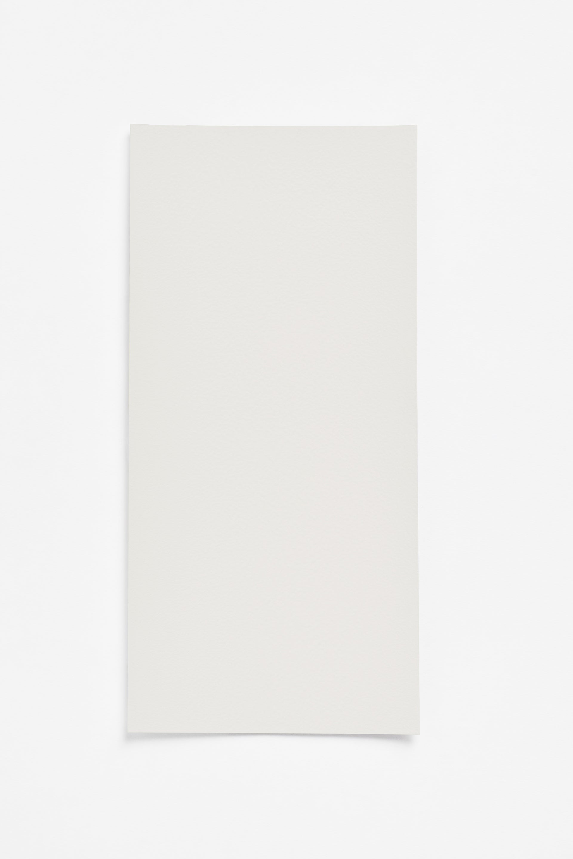 Studio Andrew Trotter - a paint palette developed for Blēo