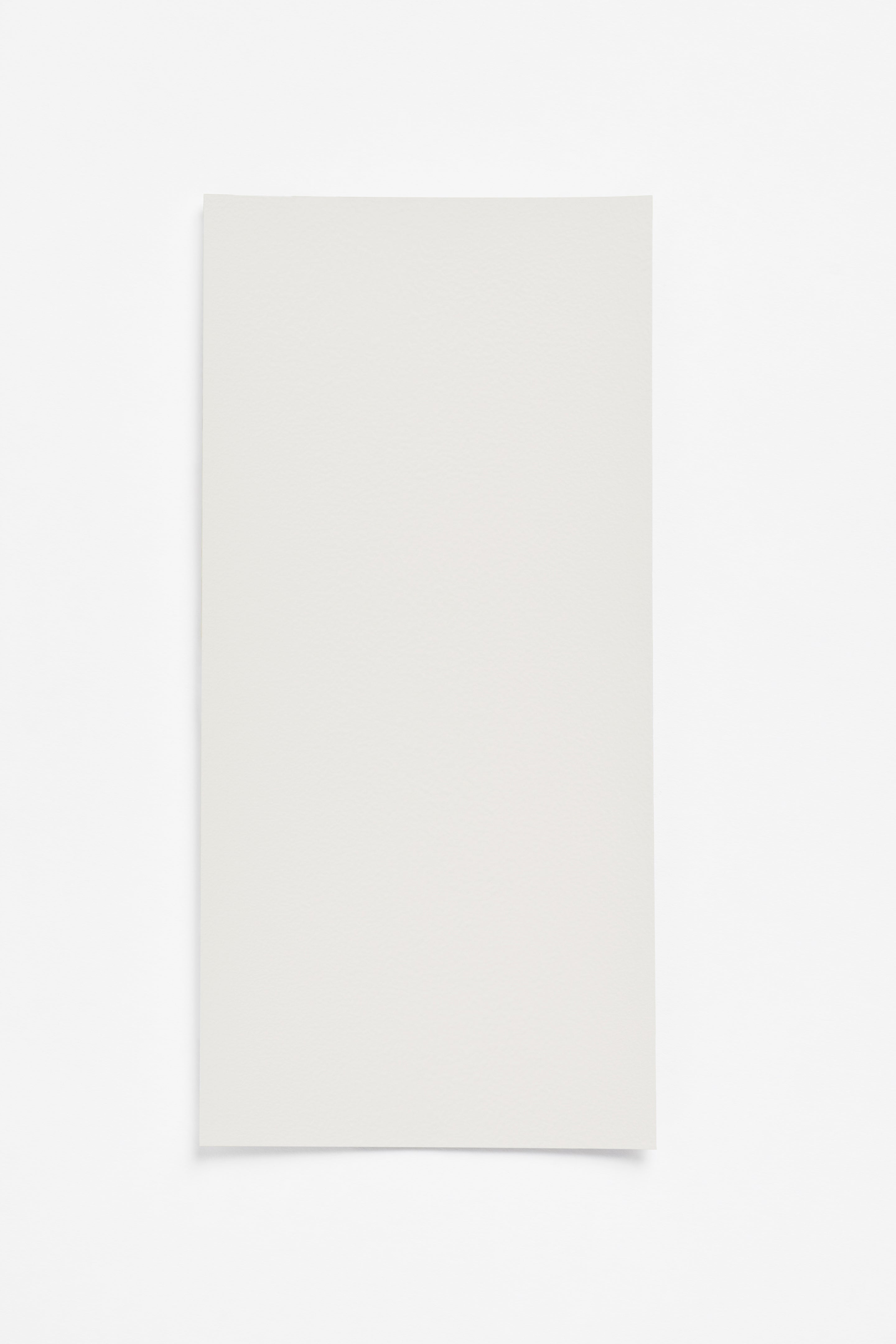 Studio Andrew Trotter - a paint palette developed for Blēo