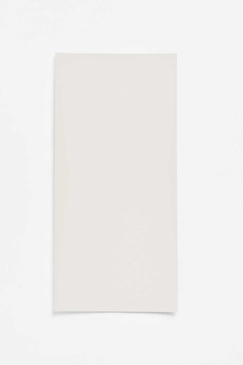 Studio Andrew Trotter - a paint palette developed for Blēo